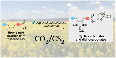 Chemoselective cycloadditions to epoxide derivatives of erucic acid ...