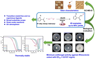 Synthesis, odor characteristics and biological evaluation of N ...