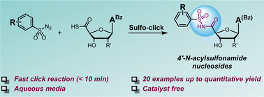 Facile access to 4′-(N-acylsulfonamide) modified nucleosides and ...