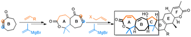 Synthesis of the ABC ring system of kadlongilactones - Organic ...