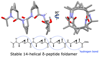 Helix-forming aliphatic homo-δ-peptide foldamers based on the ...