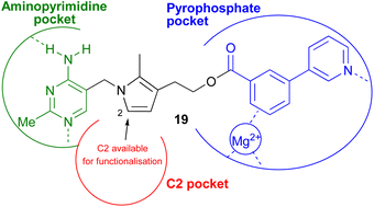 Thiamine Pyrophosphate Structure