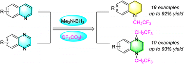 Tandem reduction and trifluoroethylation of quinolines and quinoxalines ...