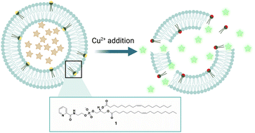 Copper-responsive liposomes for triggered cargo release employing a ...