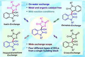 Diastereoselective reversible C–C bond exchange of oxindole ...