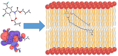 Protonophoric and mitochondrial uncoupling activity of aryl-carbamate ...