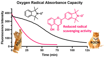 Synergistic or antagonistic antioxidant combinations – a case study ...