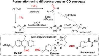 Direct formylation of phenols using difluorocarbene as a safe CO ...