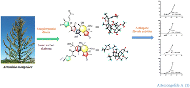 Artemongolides A–F, undescribed sesquiterpenoid dimers from Artemisia ...
