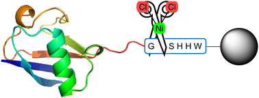 Towards the use of an amino acid cleavable linker for solid-phase ...