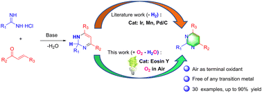 A metal-free synthesis of pyrimidines from amidines with α,β ...