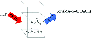 Radical copolymerization kinetics of N-tert-butyl acrylamide and methyl ...