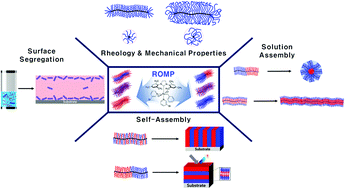 From macromonomers to bottlebrush copolymers with sequence control ...