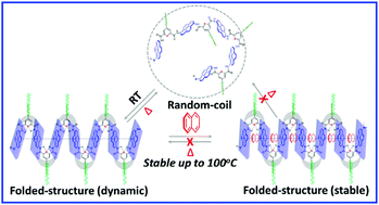 Folding of aromatic polyamides into a rare intrachain β-sheet type ...