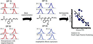 The effects of molecular weight dispersity on block copolymer self ...