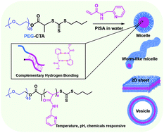Pyridine-containing block copolymeric nano-assemblies obtained through ...