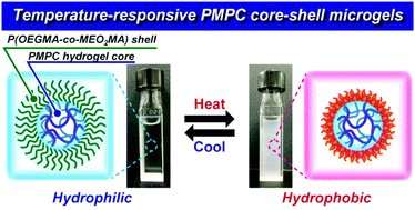 Core–shell microgels having zwitterionic hydrogel core and temperature ...