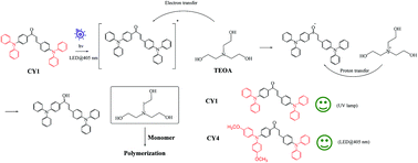 Effects of the number and position of methoxy substituents on ...