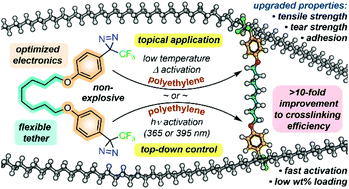 Electronically optimized diazirine-based polymer crosslinkers - Polymer ...