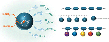 Thiolactone chemistry, a versatile platform for macromolecular ...