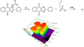 Naphthoquinone-based imidazolyl esters as blue-light-sensitive Type I ...