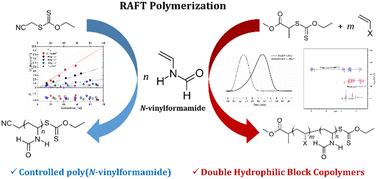 RAFT polymerisation of N-vinylformamide and the corresponding double ...
