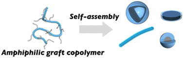 Recent advances in the self-assembly of sparsely grafted amphiphilic copolymers in aqueous ...