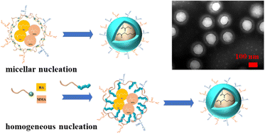 Preparation of core–shell nanoparticles via emulsion polymerization ...