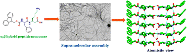 An atomistic view of rigid crystalline supramolecular polymers derived ...