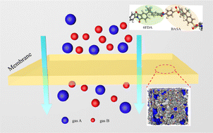 Highly soluble fluorinated polyimides with promising gas transport ...