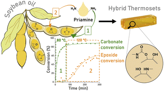 Unveiling the reactivity of epoxides in carbonated epoxidized soybean ...