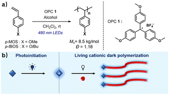 Visible light-initiated living cationic dark polymerization - Polymer ...