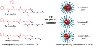 Self-assembly behavior of thermoresponsive difunctionalized γ-amide ...