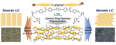 Phase-controllable topochemical polymerization of liquid crystalline ...