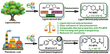 Novel stereoisomeric lignin-derived polycarbonates: towards the ...