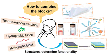 Thermo-responsive block copolymers: assembly and application - Polymer ...