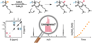 PDMAEMA from α to ω chain ends: tools for elucidating the structure of ...