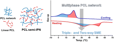 Multiphase PCL semi-interpenetrating networks exhibiting the triple ...
