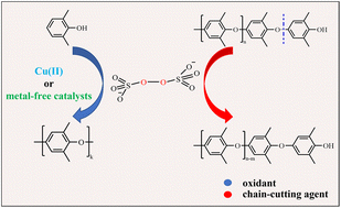 Chemical and physical properties of low-molecular-weight poly(2,6 ...