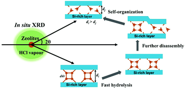 In situ synchrotron X-ray diffraction reveals the disassembly ...