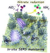 Electrochemical reduction of nitrate on silver surface and an in situ ...