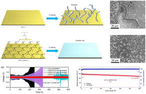 Achieving a dendrite-free lithium metal anode through lithiophilic ...