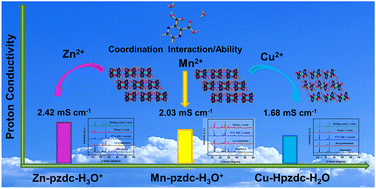 High proton conductivity modulated by active protons in 1D ultra-stable ...