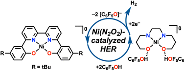 Electrocatalytic hydrogen evolution reaction by a Ni(N2O2) complex ...