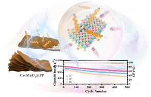 Self-assembly of Co-doped MnO2 nanorod networks with abundant oxygen ...