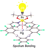 Spodium bonding to anticrown-Hg3 boosts phosphorescence of ...