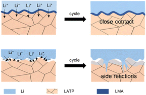 A solid-state lithium metal battery with extended cycling and rate ...