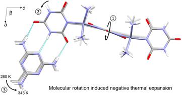 Molecular rotation induced giant, anisotropic negative thermal ...