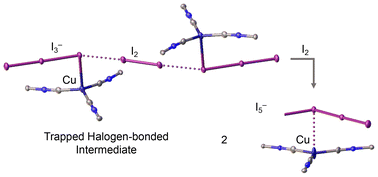 Halogen bonding between metal-bound I3− and unbound I2: the trapped I2⋯ ...