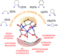 A systematic investigation of the NMR relaxation properties of Fe(iii ...